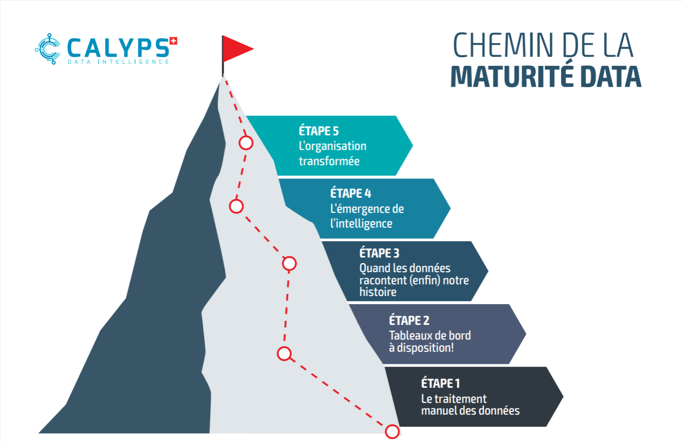 Data Maturity Path: A Journey in 5 Steps • CALYPS